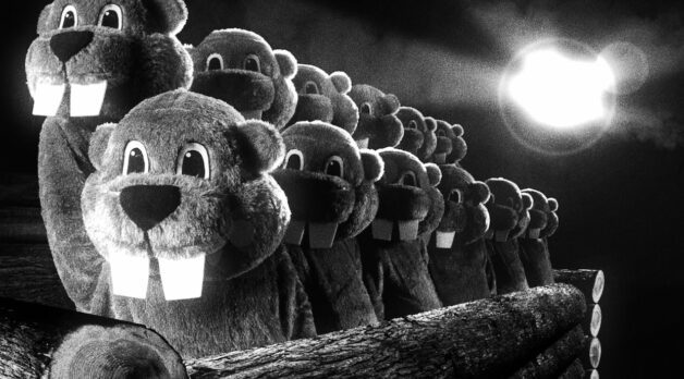 Of Mascots and Men: Mike Cheslik and Ryland Brickston Cole Tews on ...